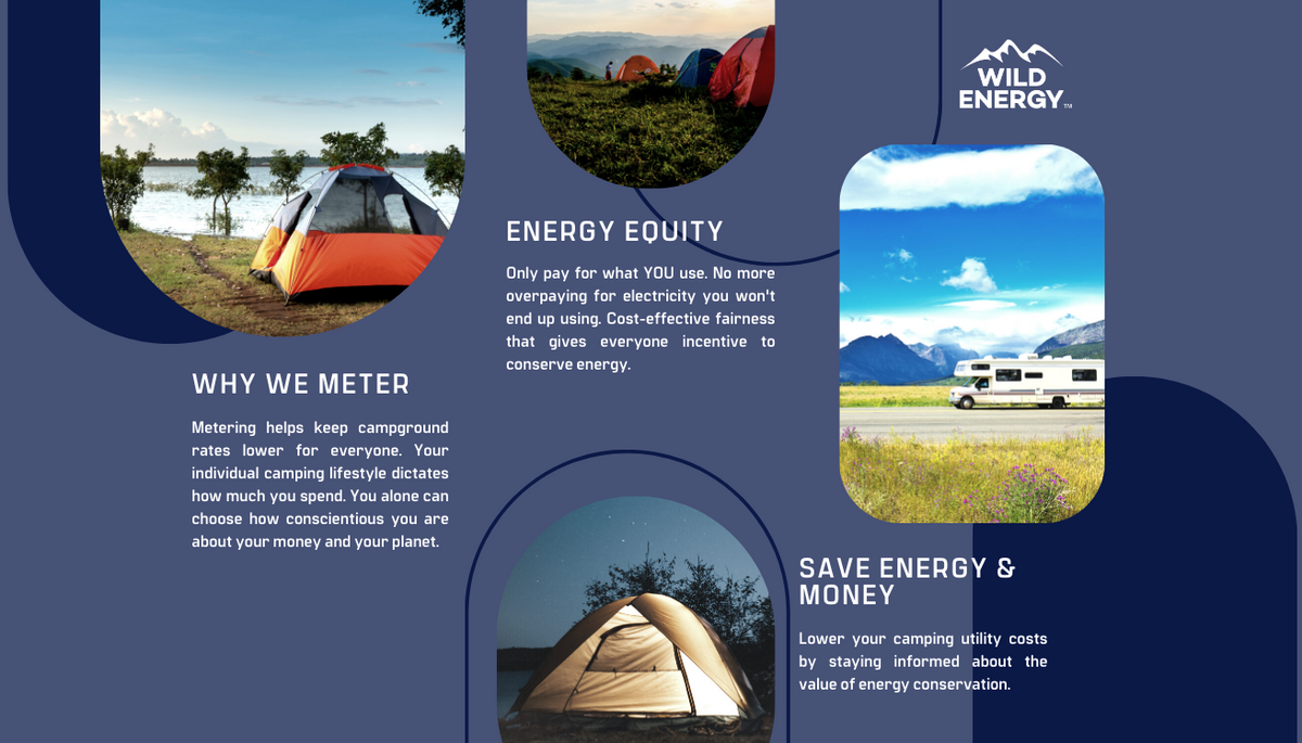 Consumer Brochure – Wild Energy