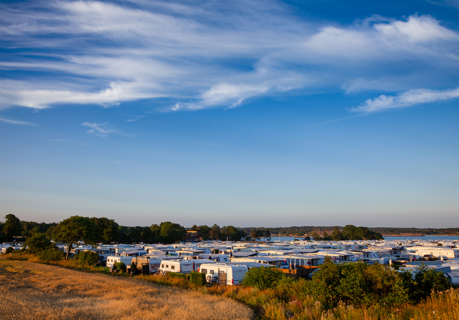 Customers – Wild Energy